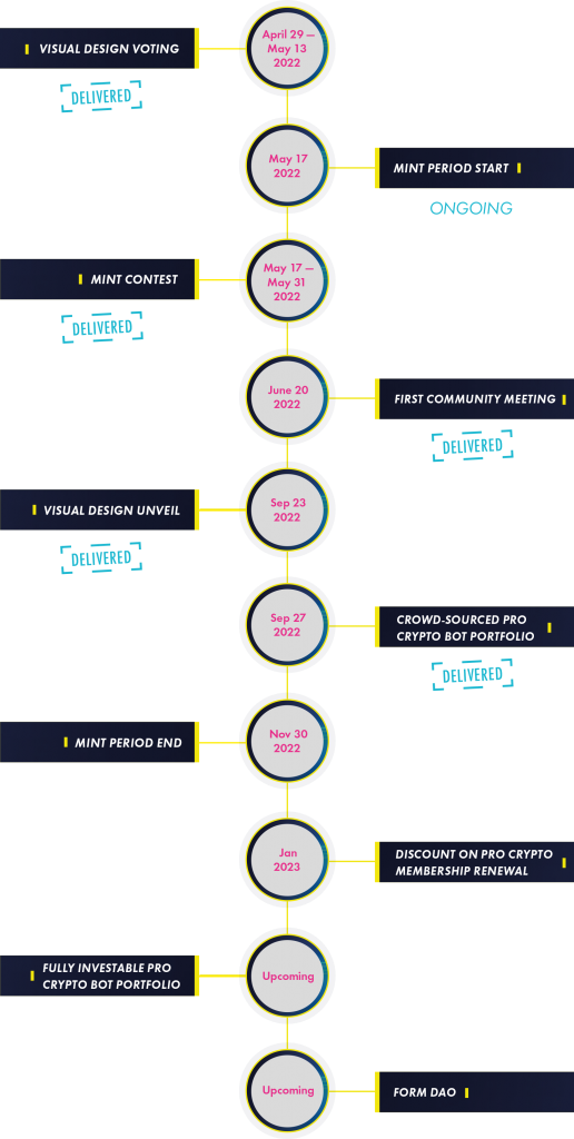 Real Vision Pro Crypto NFT | Real Vision